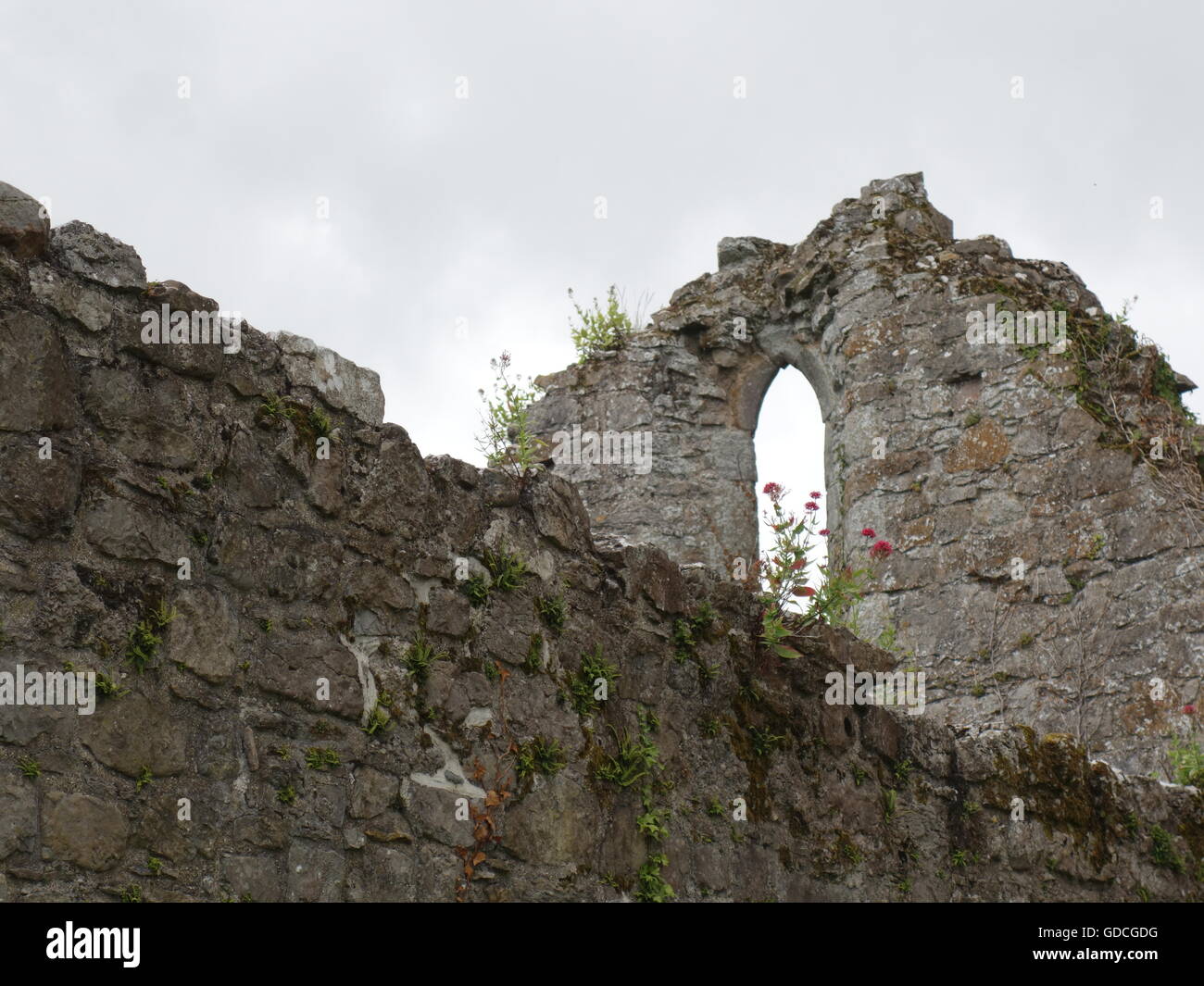 Goth texture hi-res stock photography and images - Alamy