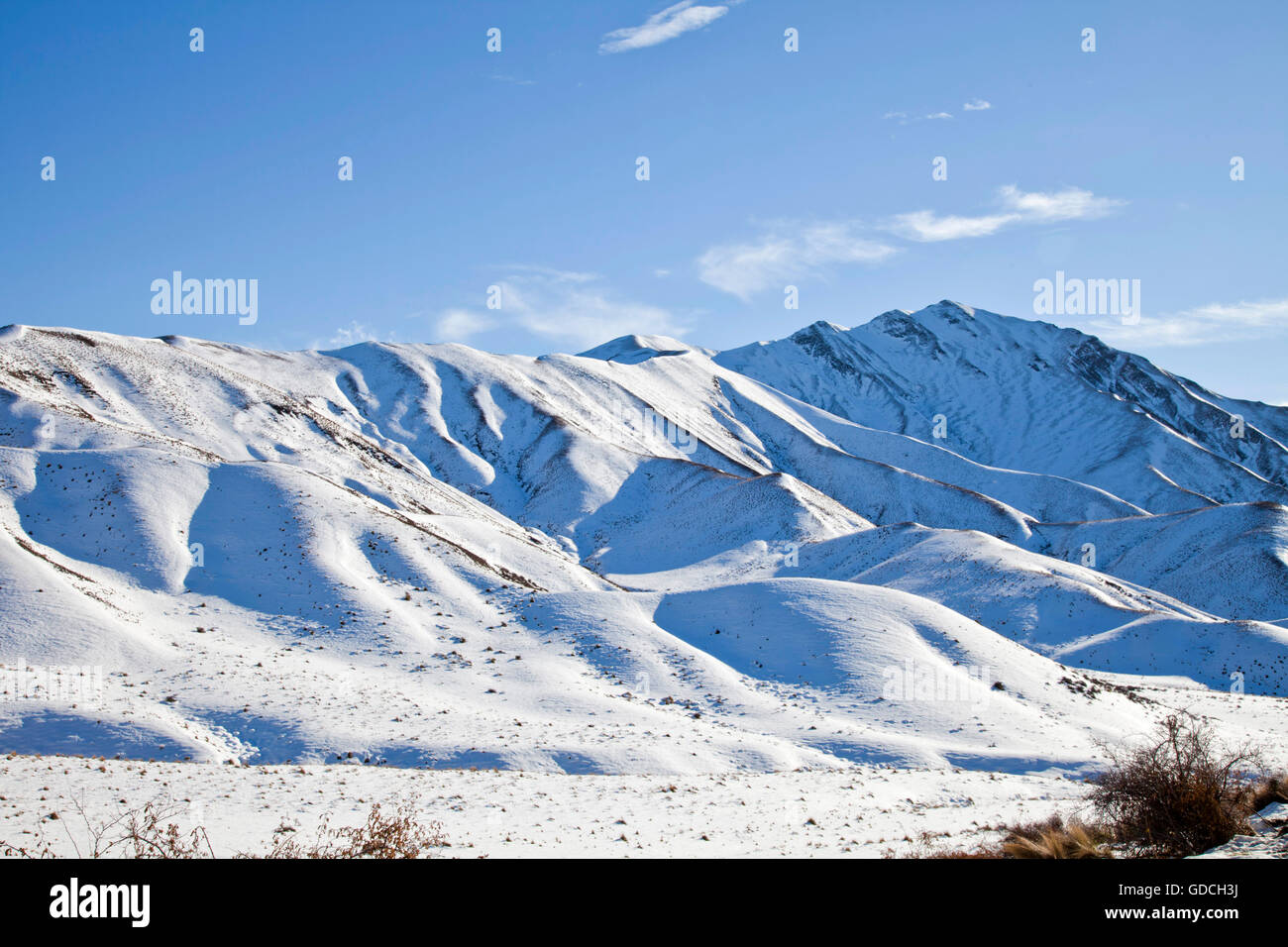South Island Landscape Scenery, Canterbury, New Zealand Stock Photo - Alamy