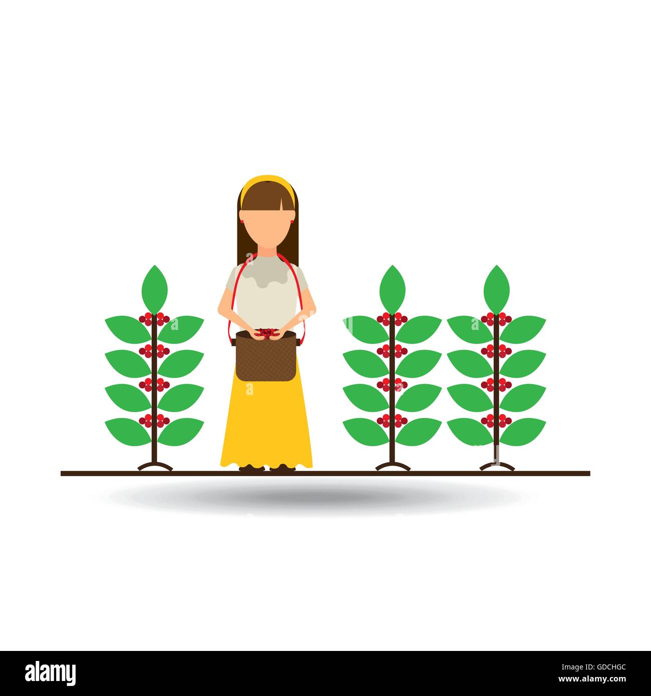 colombian coffee icon Stock Vector Image & Art - Alamy