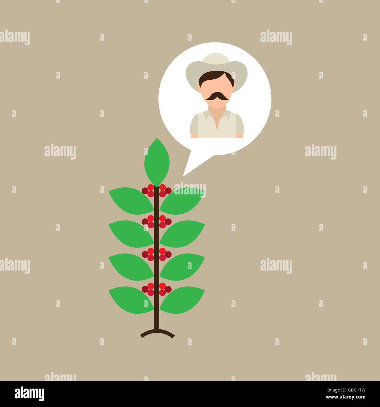 Coffee plantation colombia Stock Vector Images - Alamy