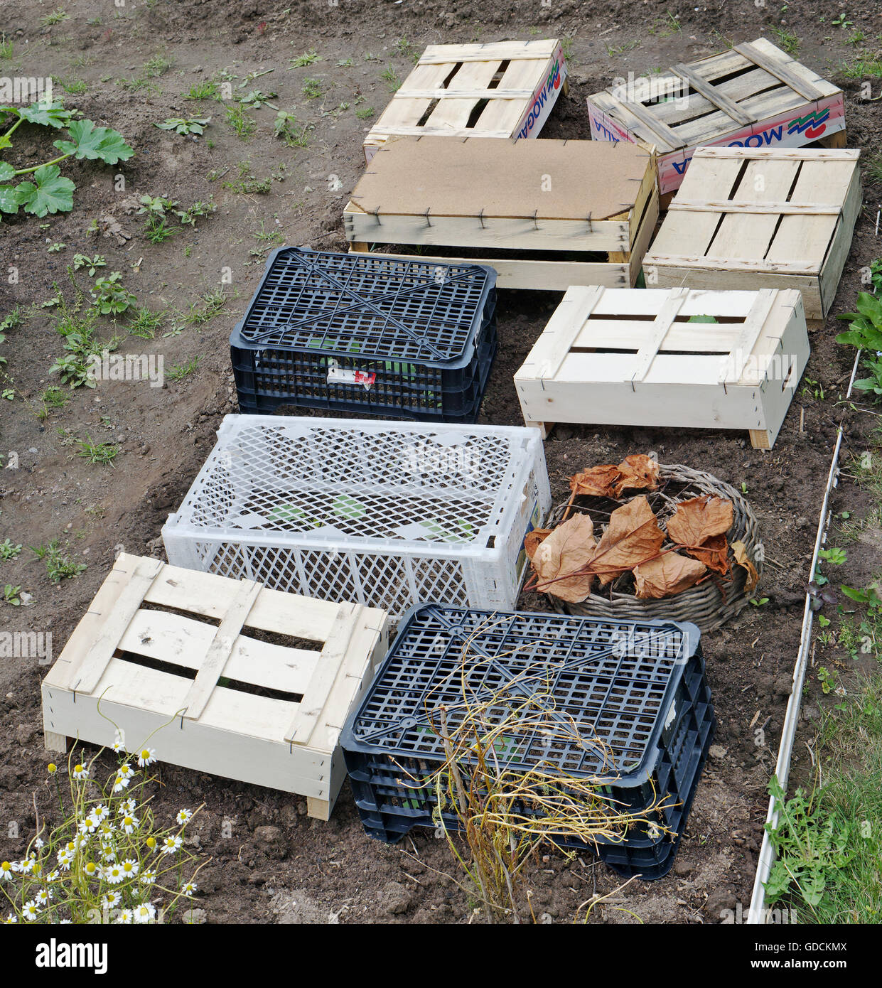 Cardboard covers hi-res stock photography and images - Alamy