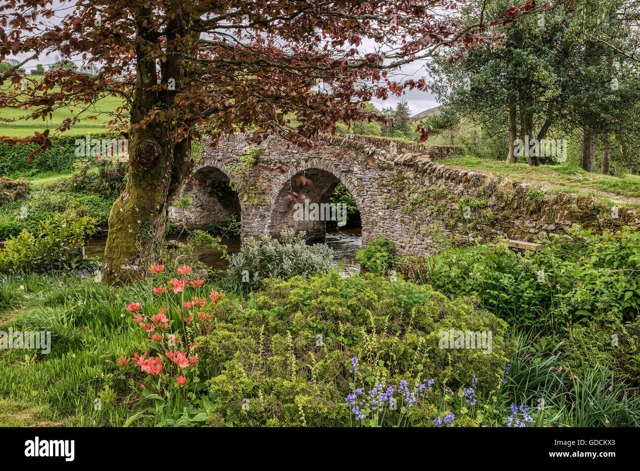 Medieval setting hi-res stock photography and images - Alamy