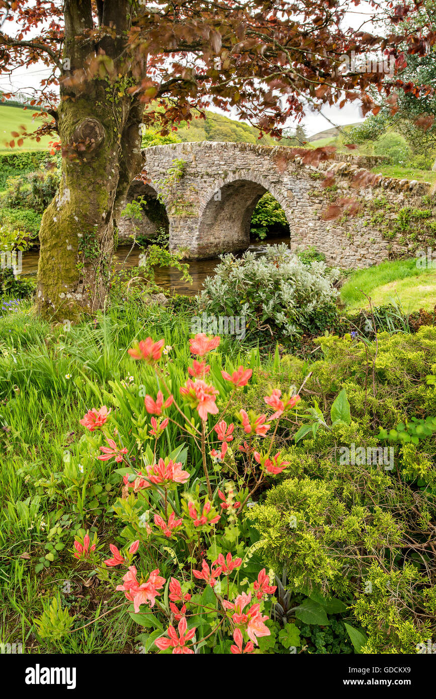 Landscape image of old medieval bridge in river setting in English ...