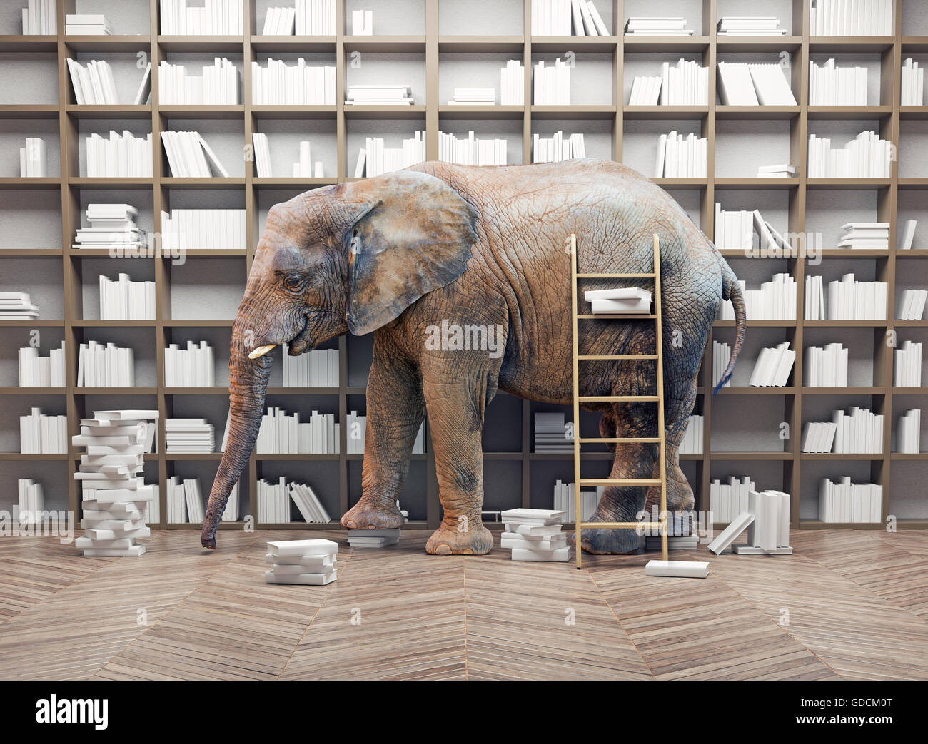 an elephant in the room with book shelves. Creative concept Stock Photo ...