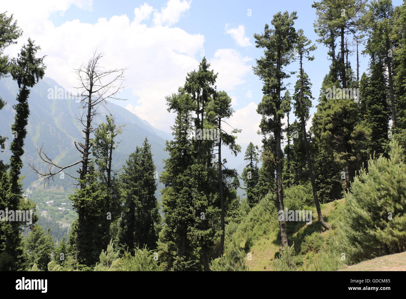 Pahalgam Valley in Jammu & Kashmir Stock Photo - Alamy