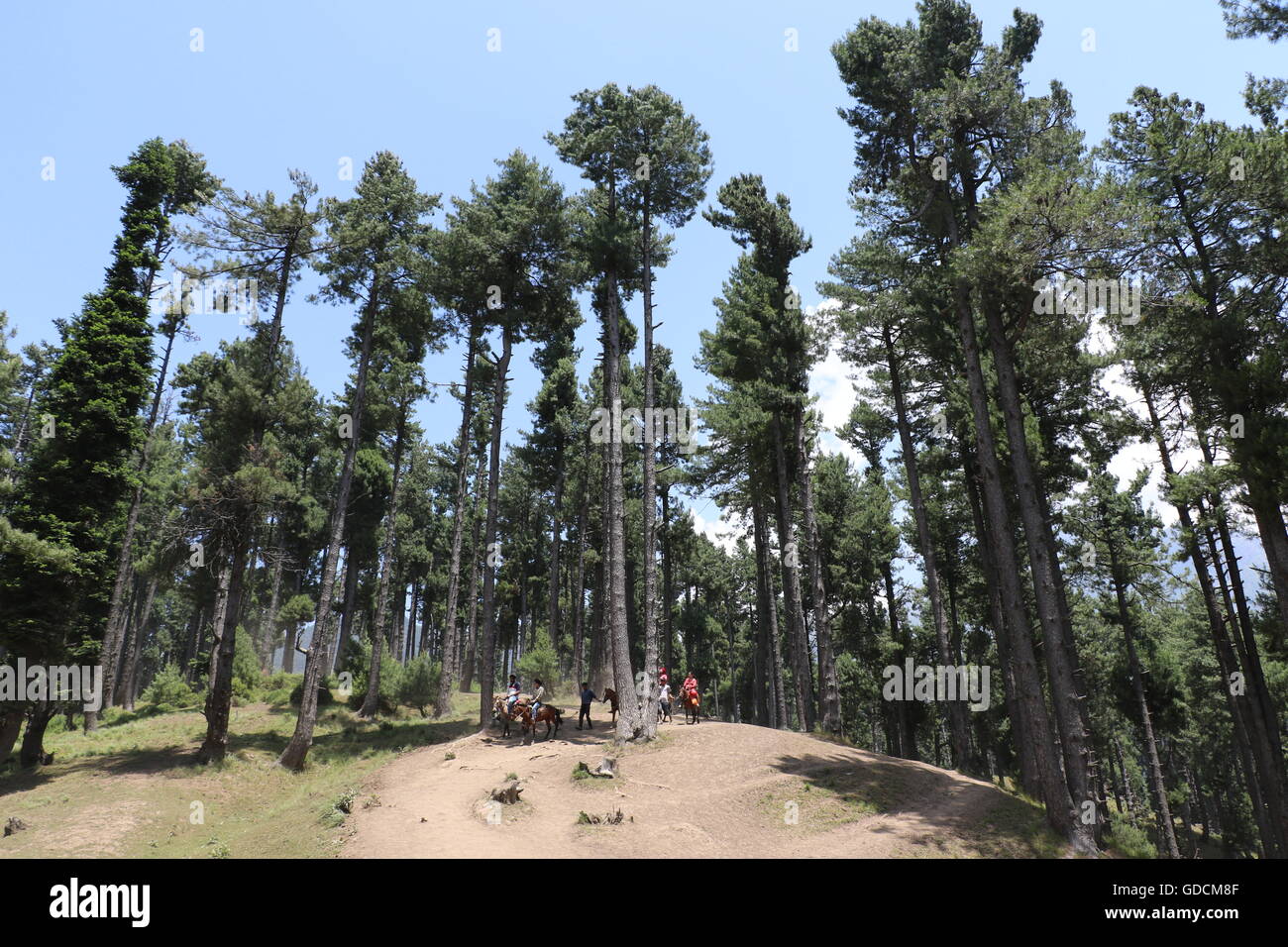 Pahalgam Valley in Jammu & Kashmir Stock Photo - Alamy