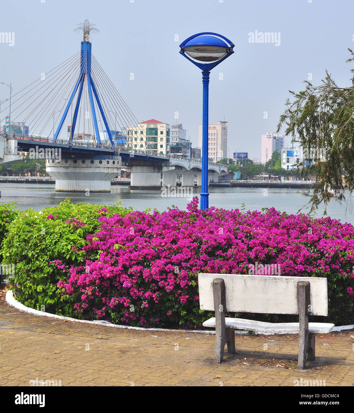 Bloom vietnam asia hi-res stock photography and images - Alamy