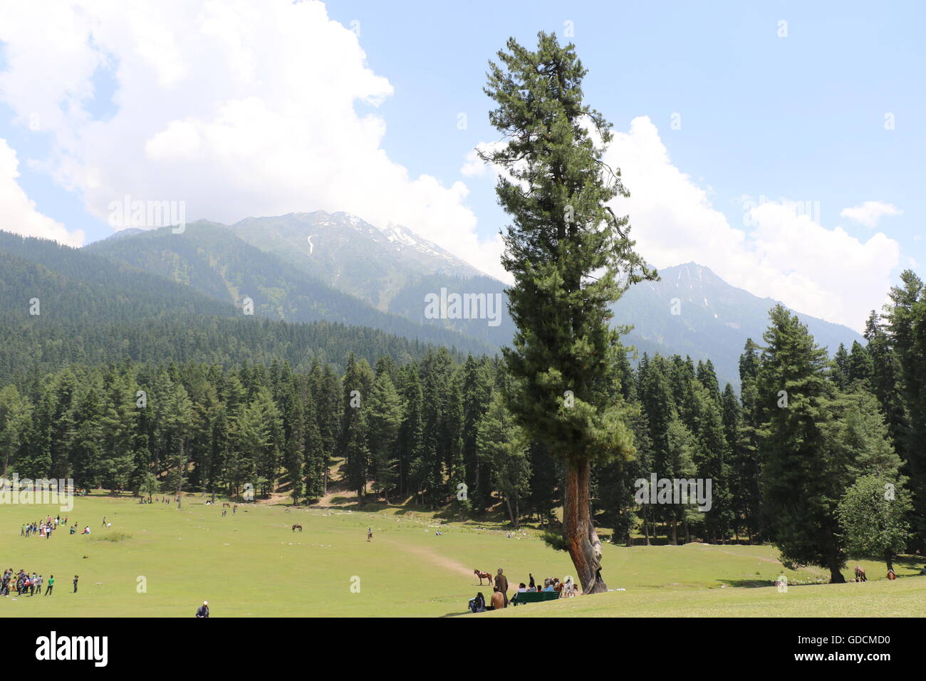 Pahalgam Valley in Jammu & Kashmir Stock Photo - Alamy