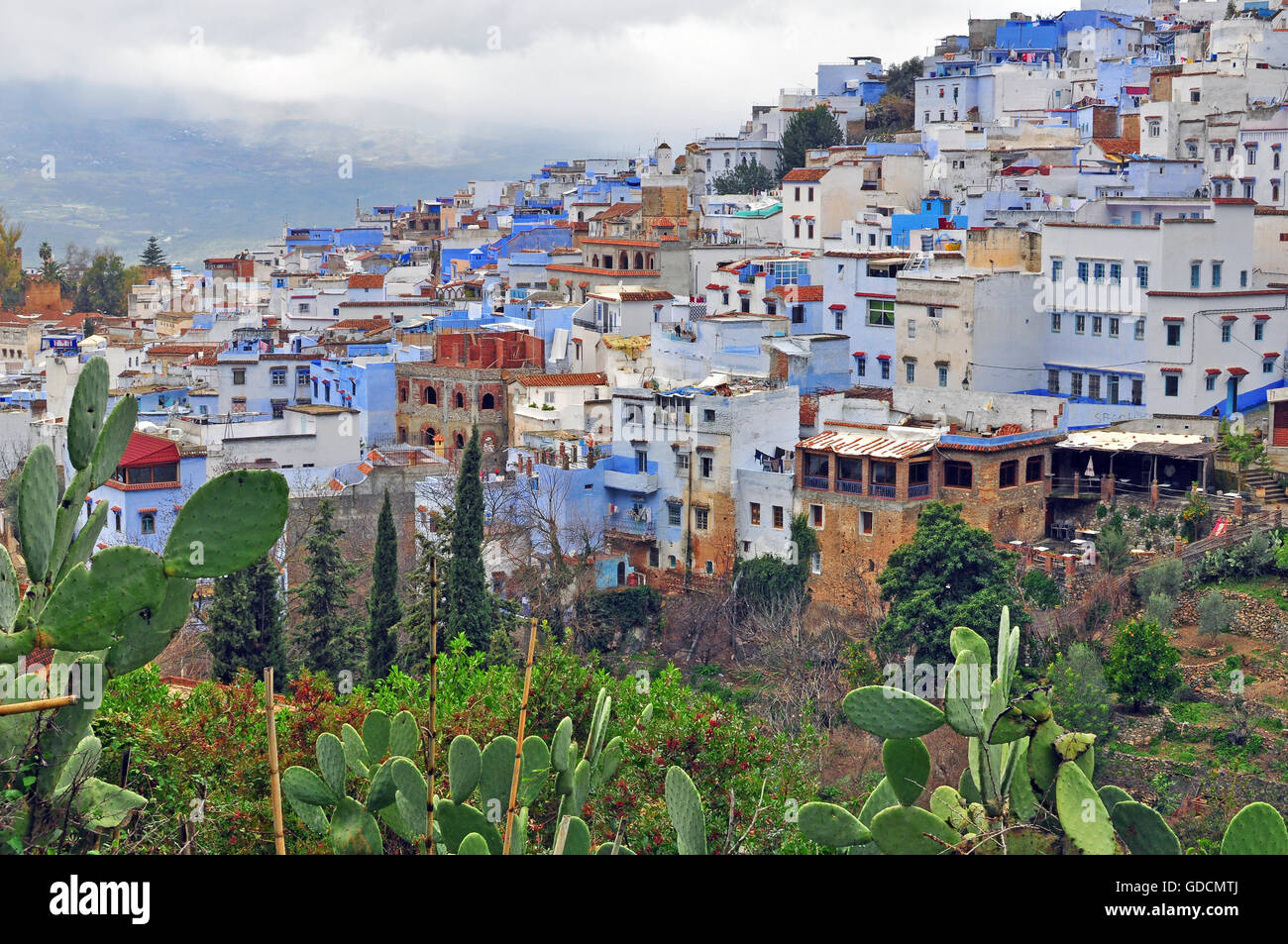 Chefchaouen maroc hi-res stock photography and images - Alamy