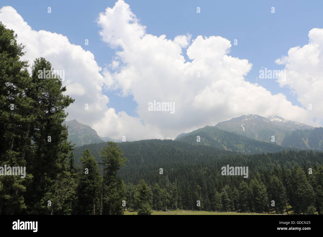 Pahalgam Valley in Jammu & Kashmir Stock Photo - Alamy