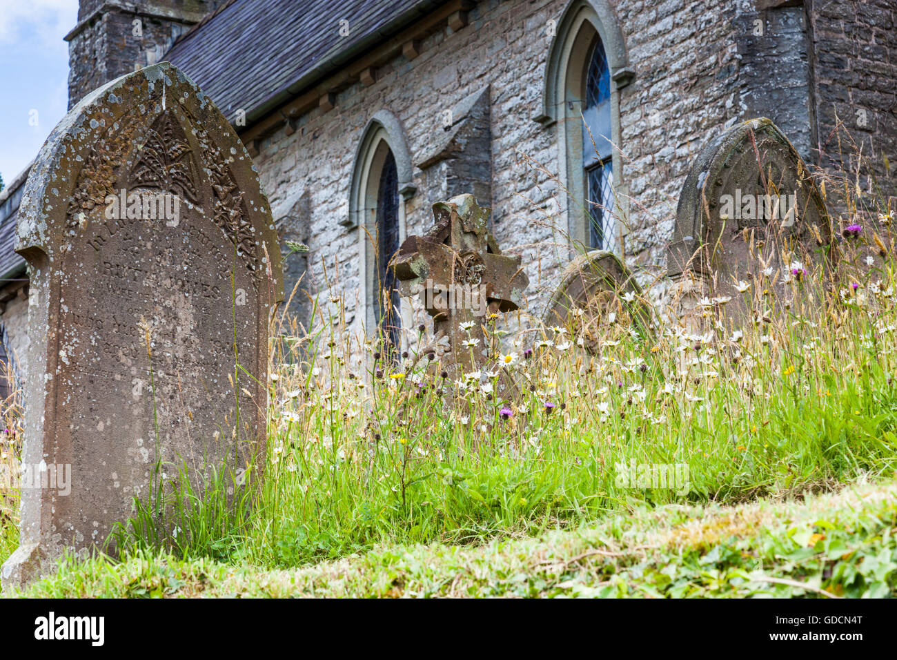 Graves at St John the Evangelist Church, Newcastle on Clun, Shropshire ...