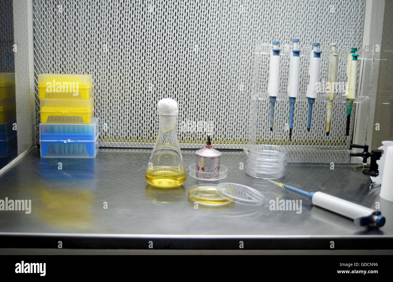 Lab Research procedure Stock Photo - Alamy