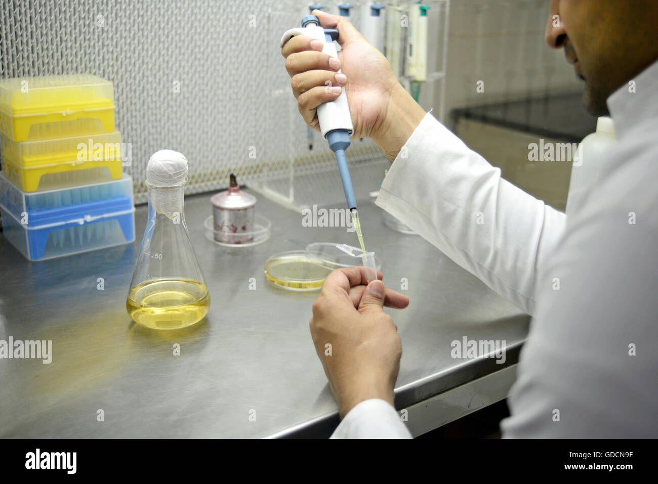 Lab Research procedure Stock Photo - Alamy