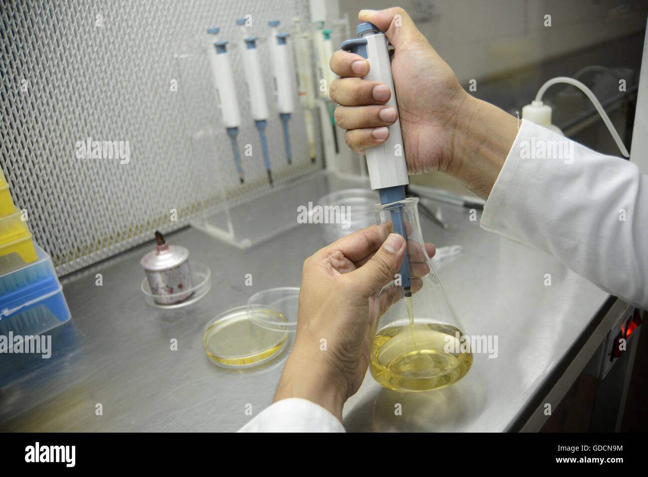 Lab Research procedure Stock Photo - Alamy