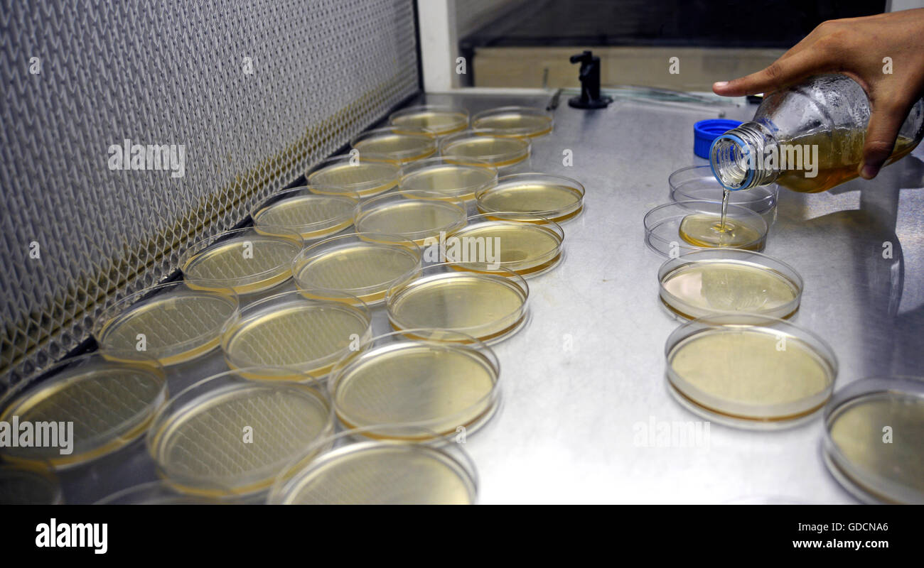 Lab Research procedure Stock Photo - Alamy