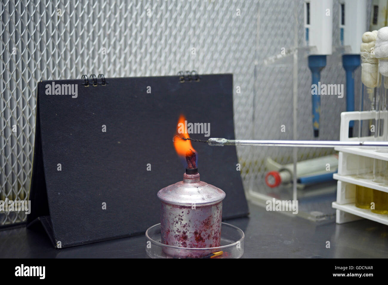 Lab Research procedure Stock Photo - Alamy