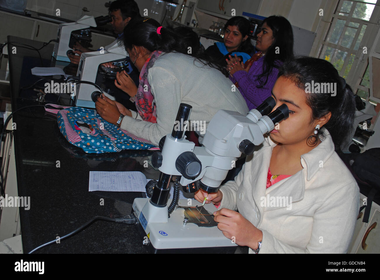 Students observing in the Laboratory Stock Photo - Alamy