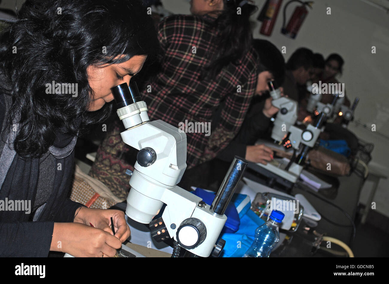 Students observing in the Laboratory Stock Photo - Alamy