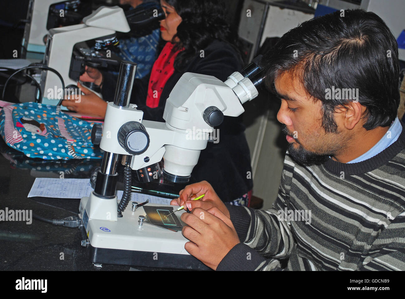 Students observing in the Laboratory Stock Photo - Alamy