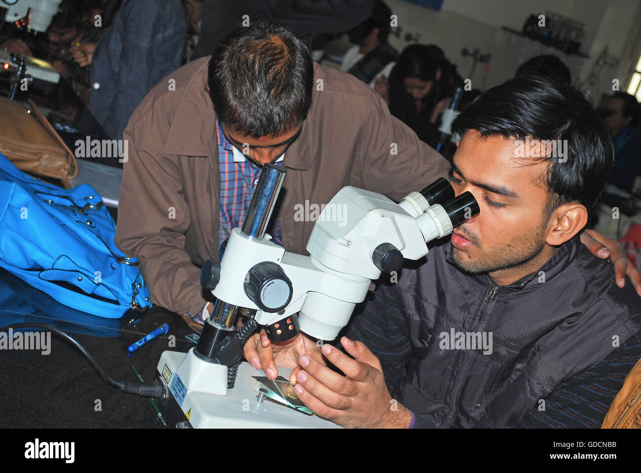 Students observing in the Laboratory Stock Photo - Alamy