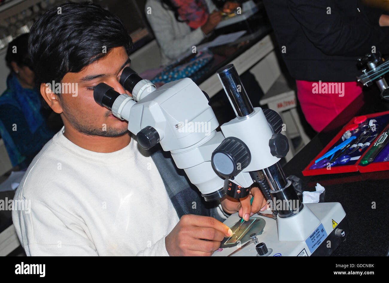 Students observing in the Laboratory Stock Photo - Alamy