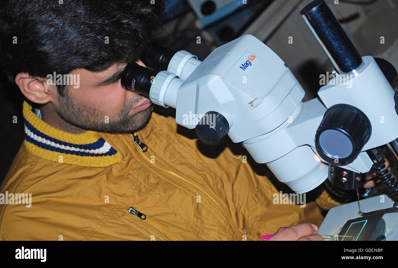 Students observing in the Laboratory Stock Photo - Alamy
