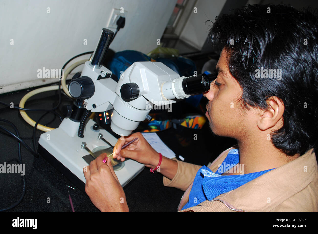 Students observing in the Laboratory Stock Photo - Alamy