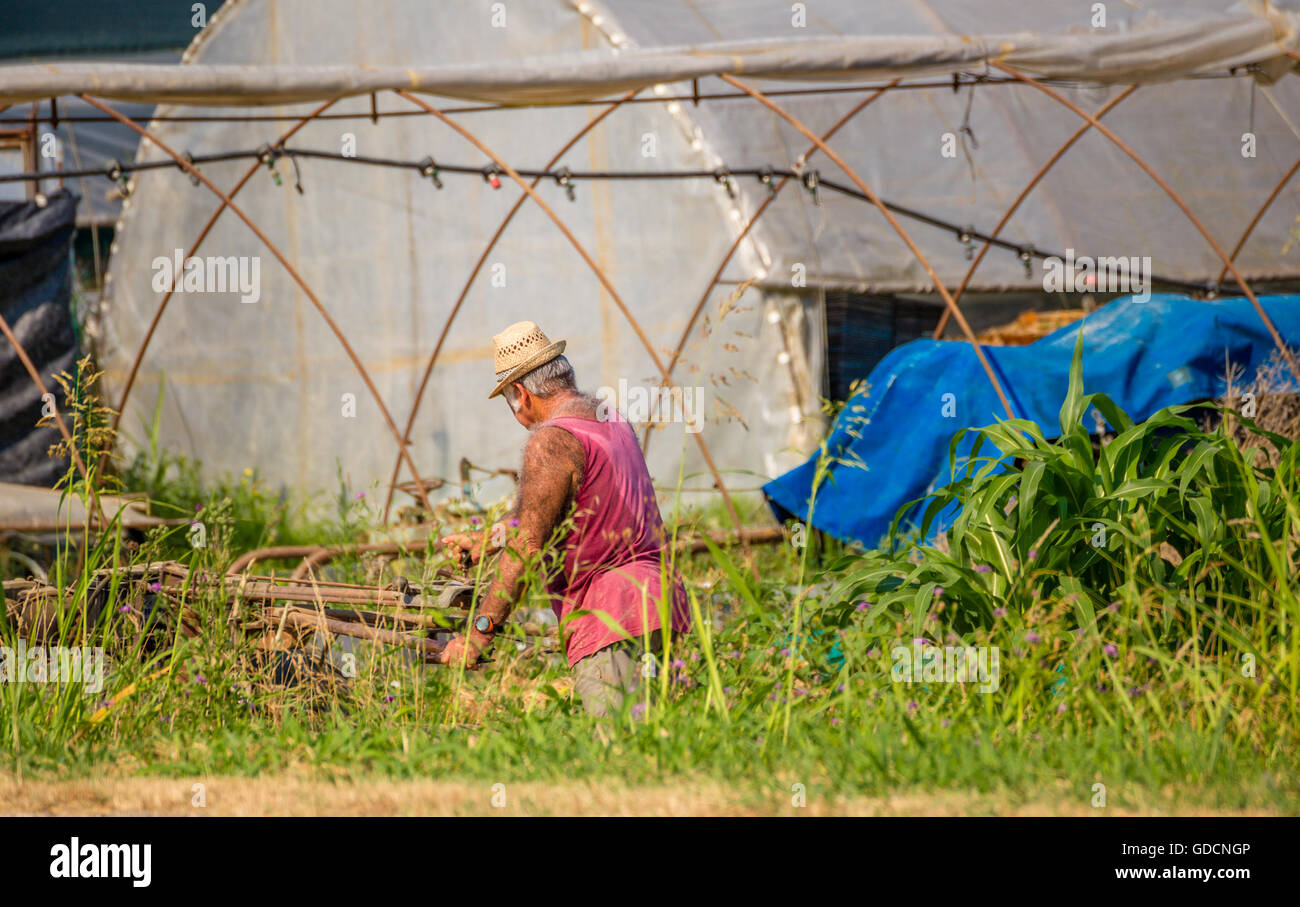 Plow man hi-res stock photography and images - Alamy