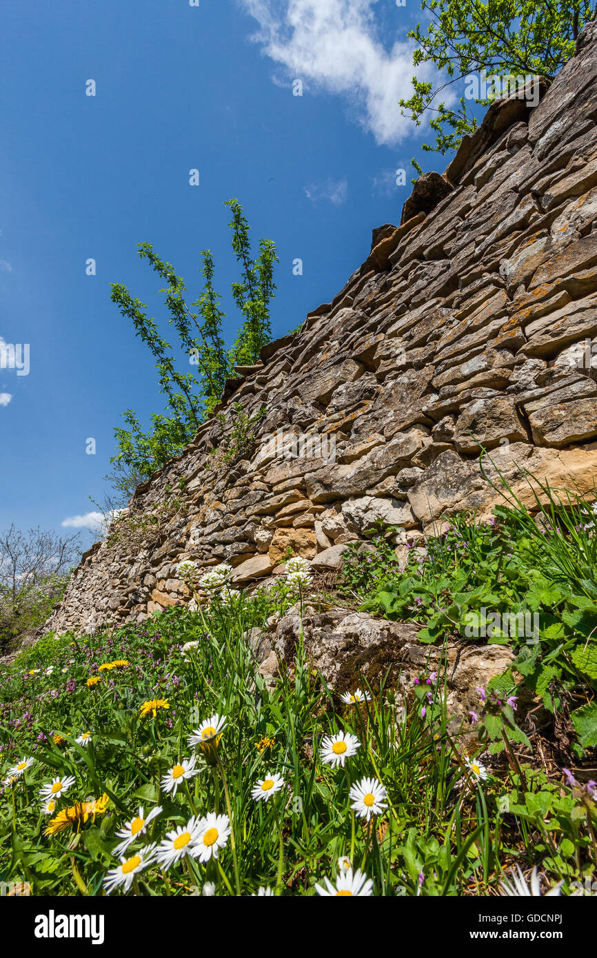 Old stone wall flowers hi-res stock photography and images - Alamy
