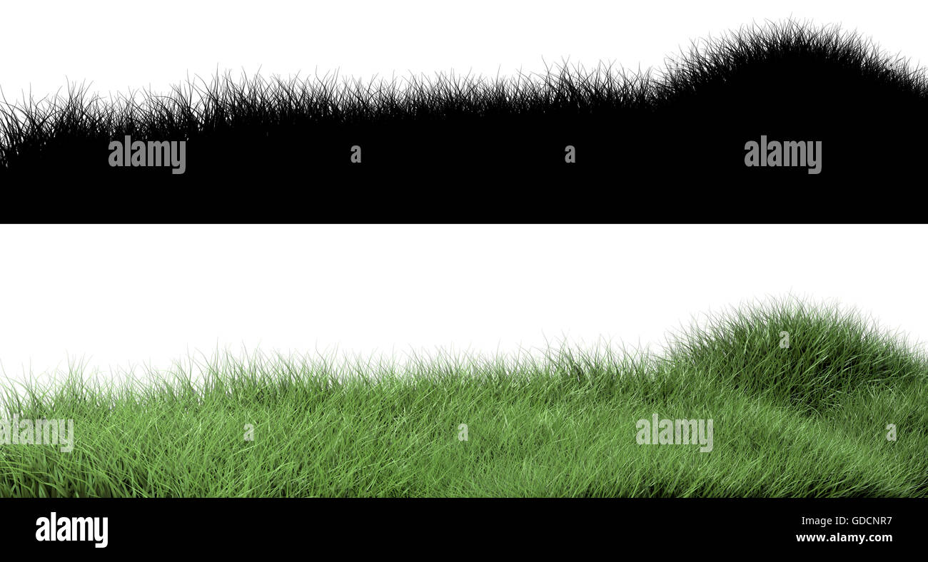 Green grass on the mask white background. 3D high quality render ...