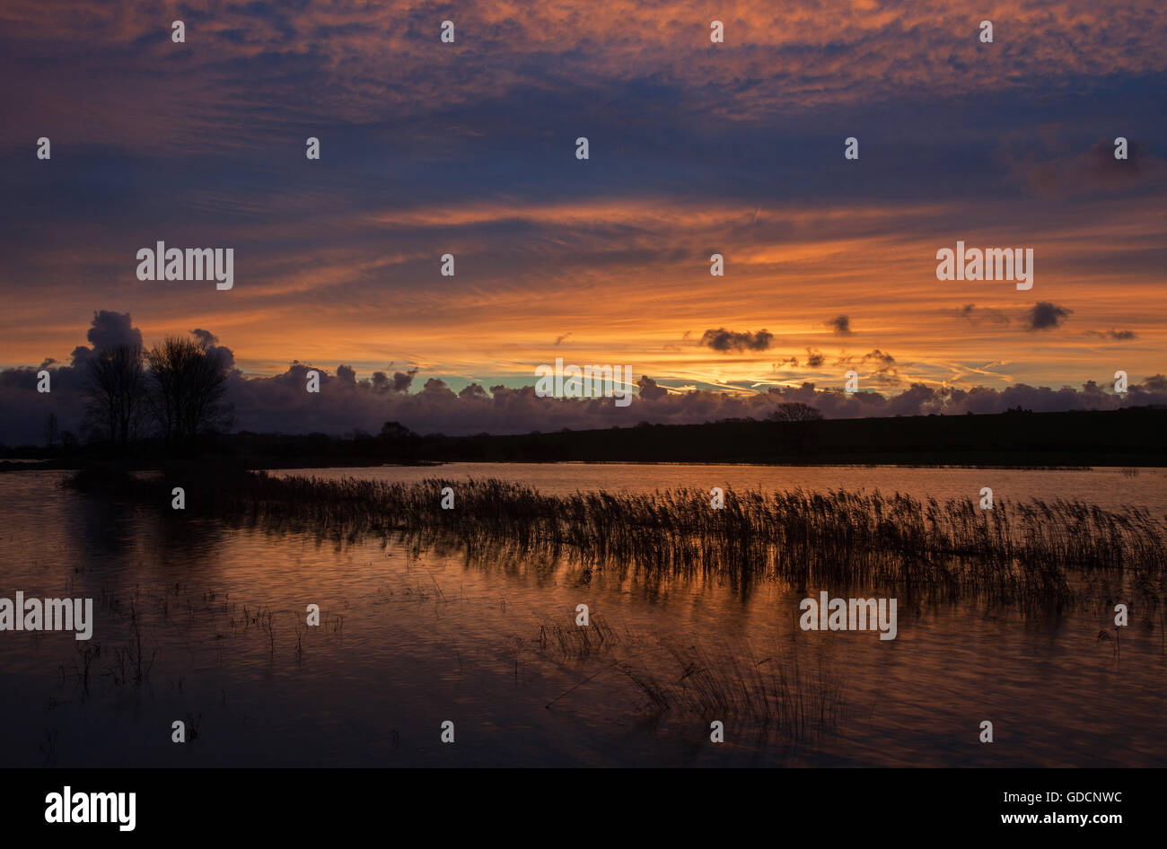 Spectacular sunrise, Brede valley, East Sussex, stunning rich colours ...