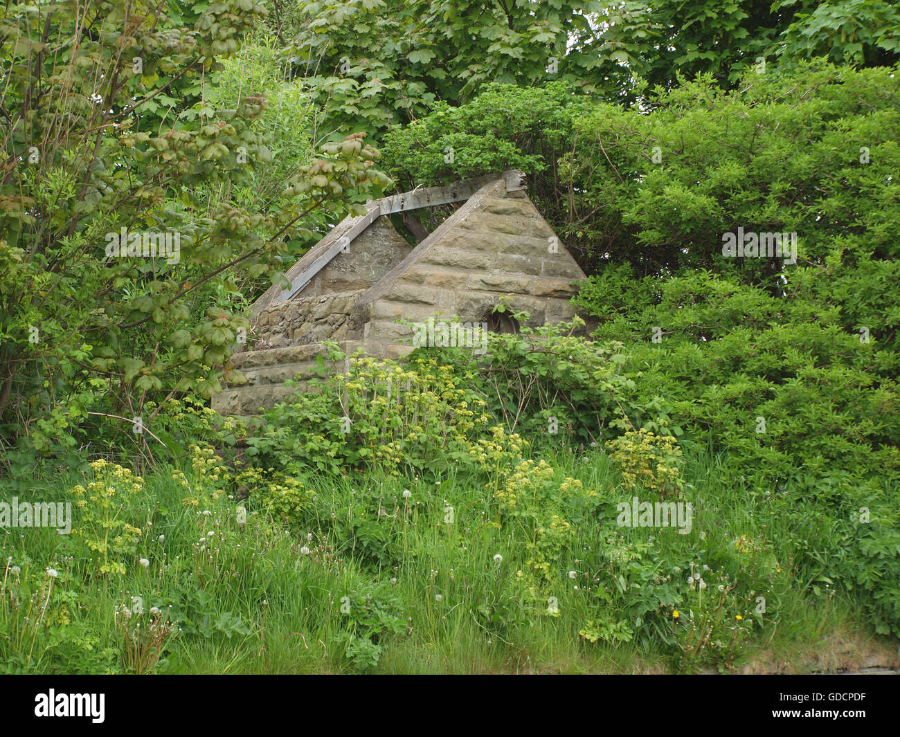 The streets and allay ways of the historic village of Tynemouth where ...