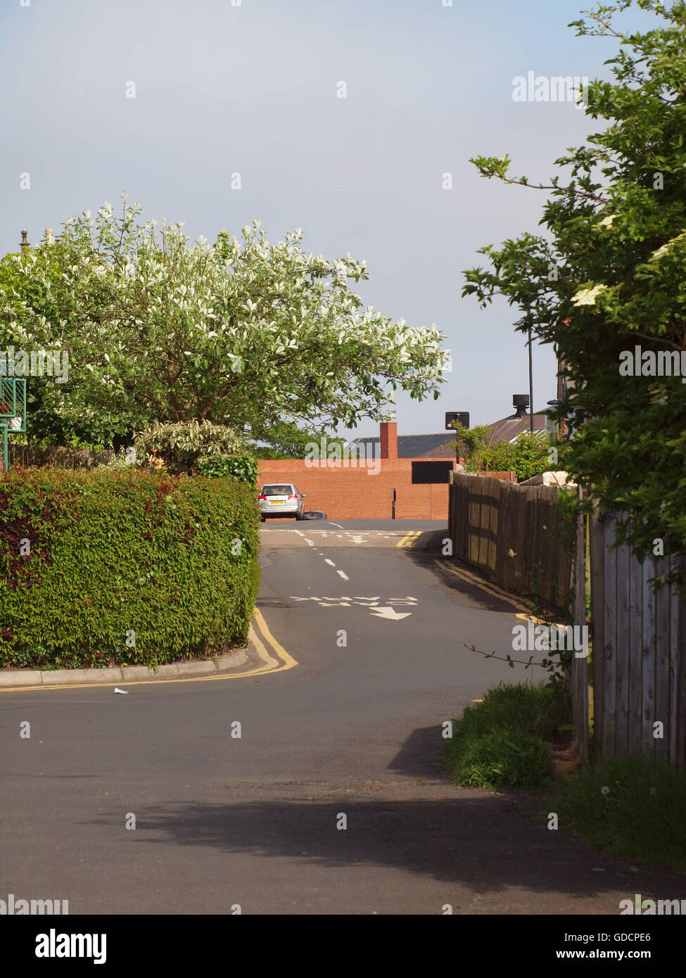 The streets and allay ways of the historic village of Tynemouth where ...