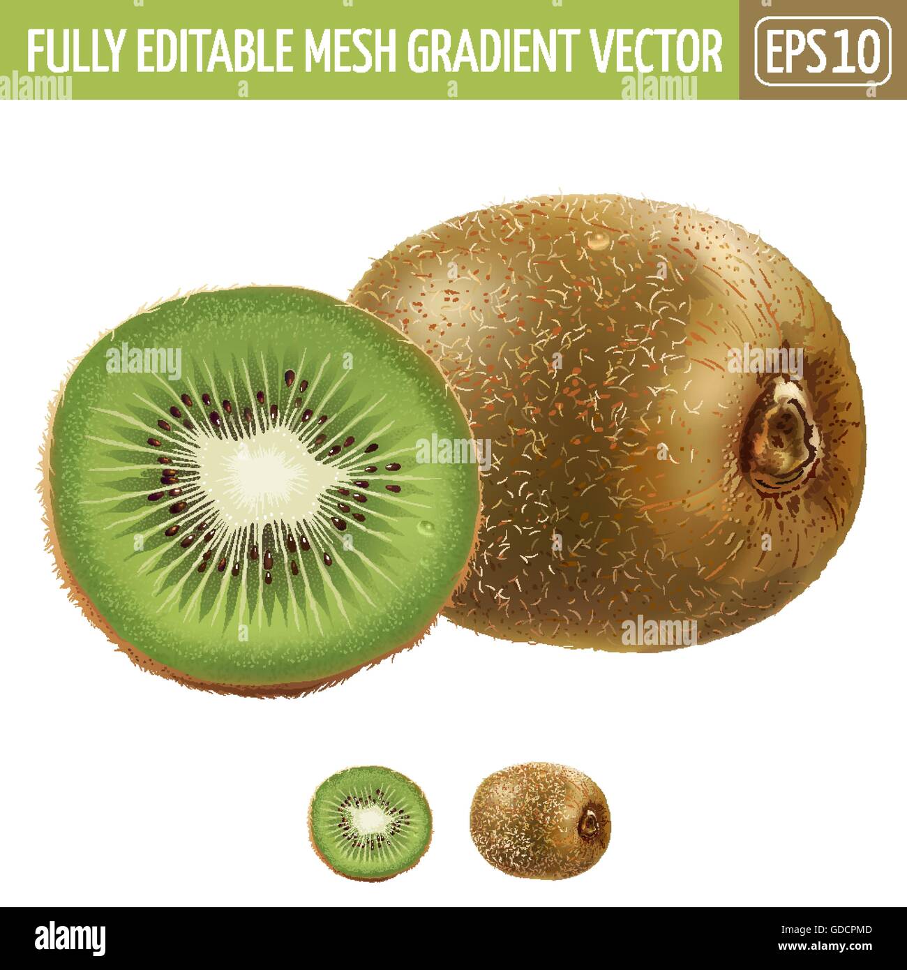 Kiwi on white background. Vector illustration Stock Vector Image & Art ...