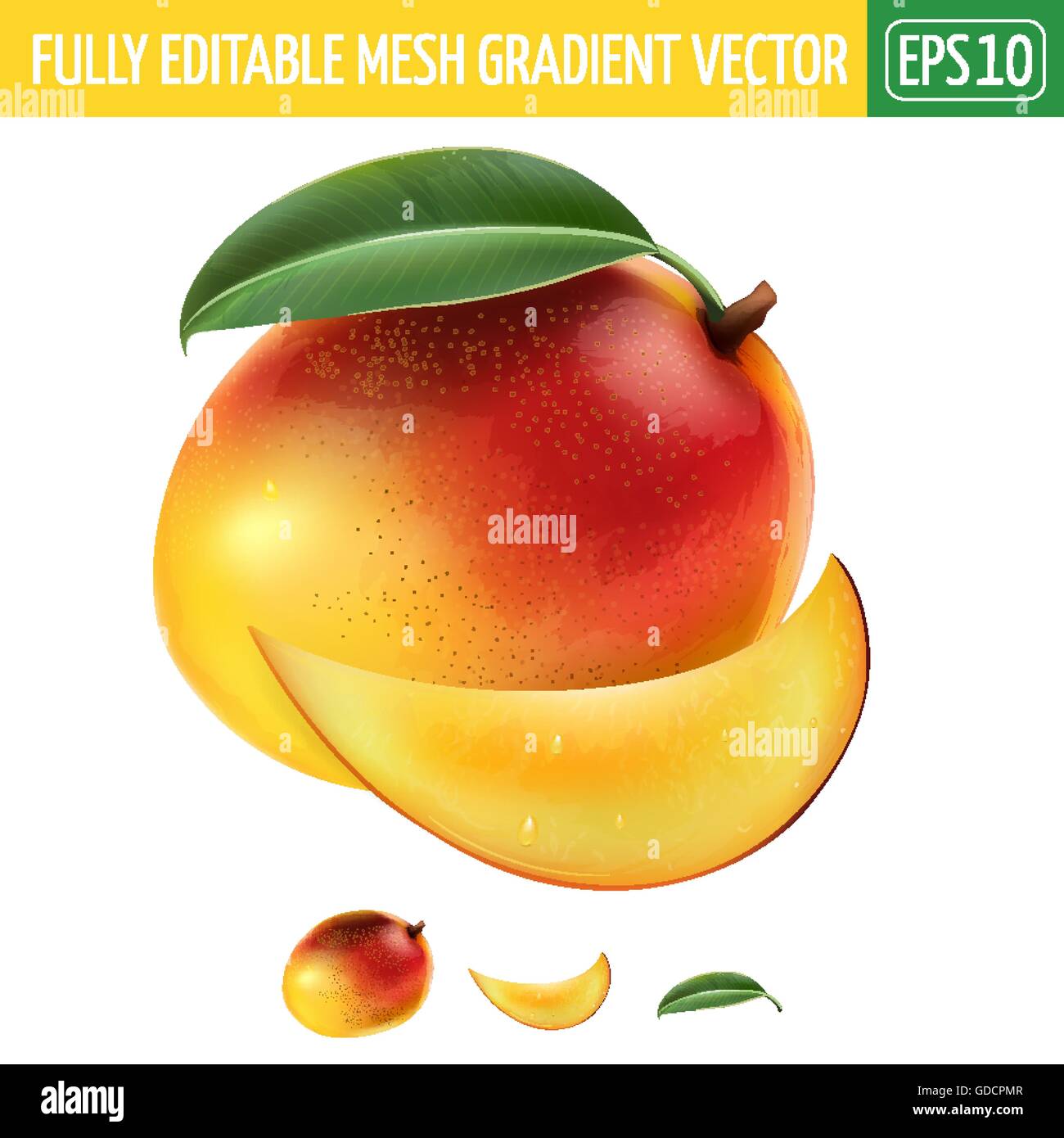 Mango on white background. Vector illustration Stock Vector Image & Art ...