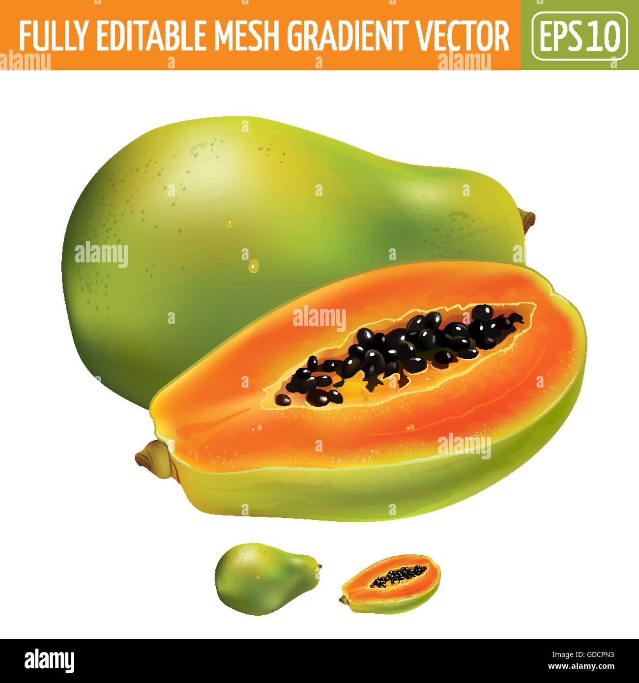 Papaya on white background. Vector illustration Stock Vector Image ...