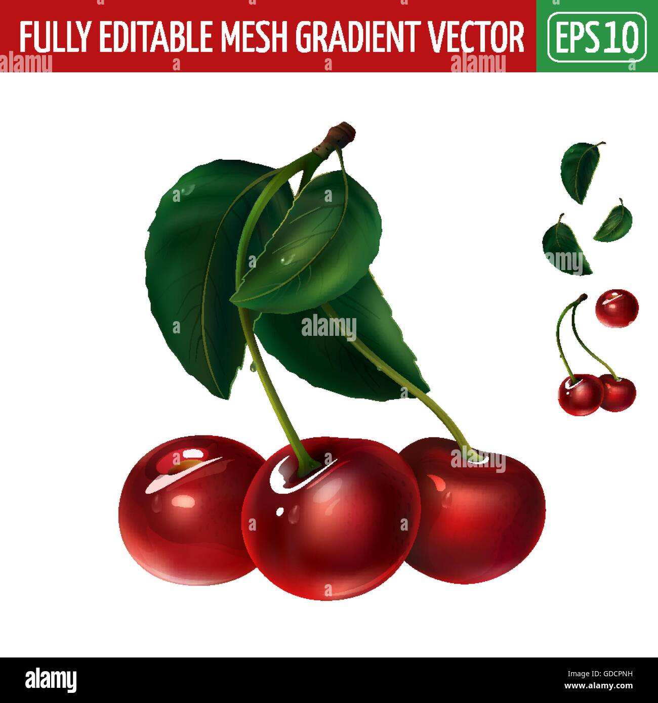 Cherry on white background. Vector illustration Stock Vector Image ...