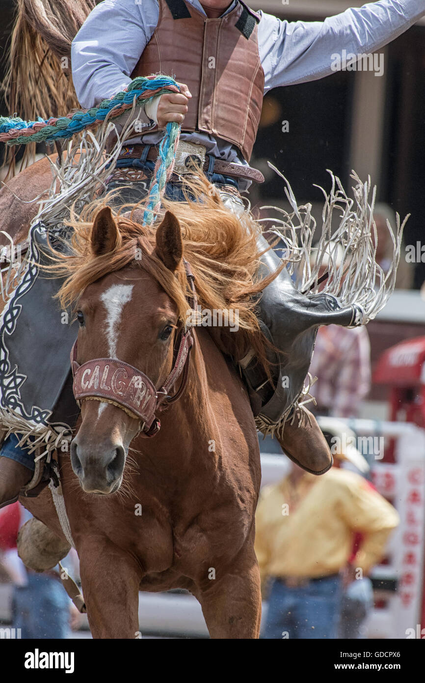 Saddle bronc competition hi-res stock photography and images - Alamy