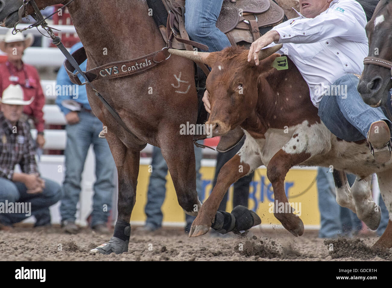Cattle stampede hi-res stock photography and images - Alamy