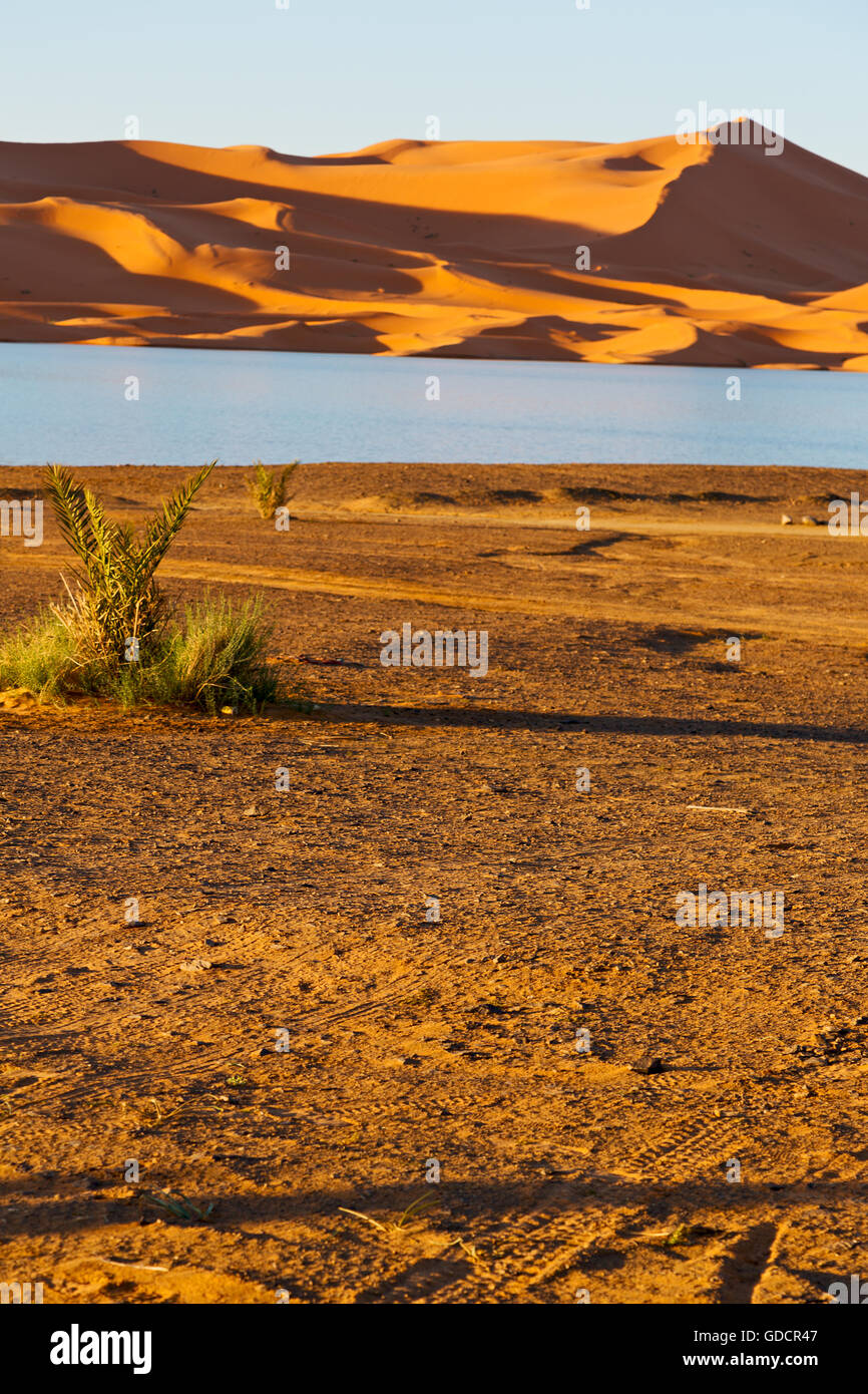 sunshine in the desert of morocco sand and lake dune Stock Photo - Alamy