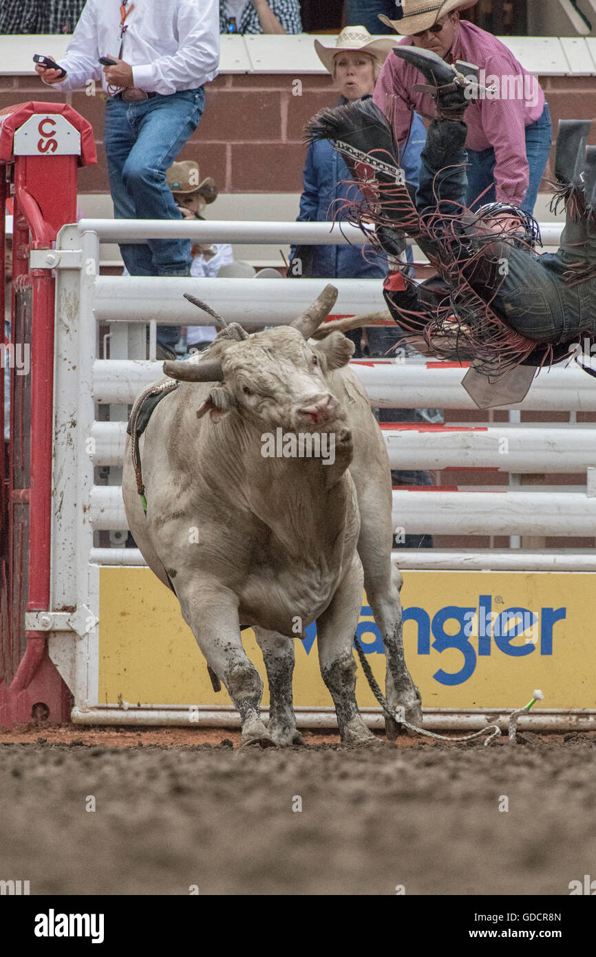 Rodeo rider hi-res stock photography and images - Alamy