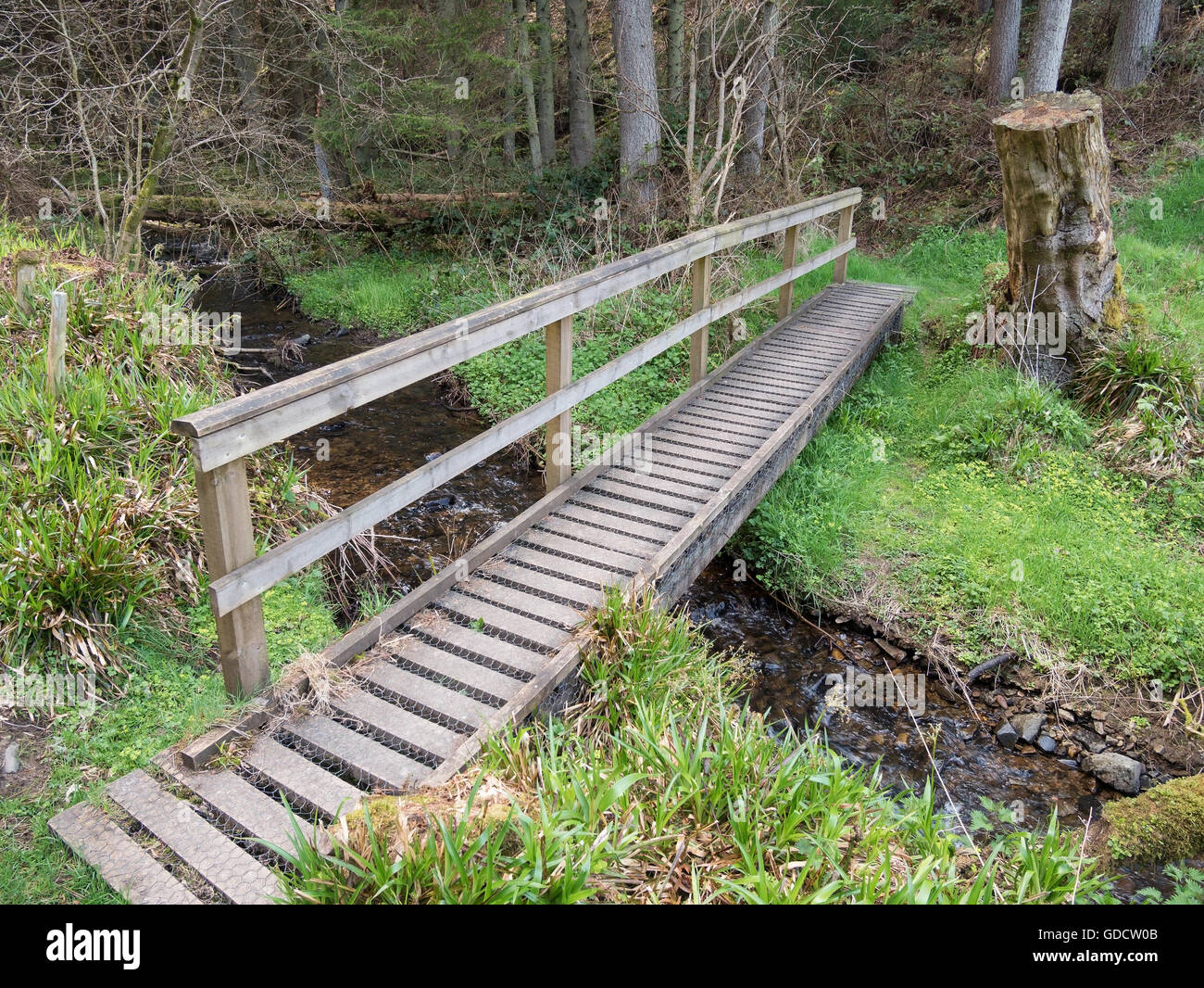 A wooden footbridge over a stream on a foot path in Scotland Stock ...