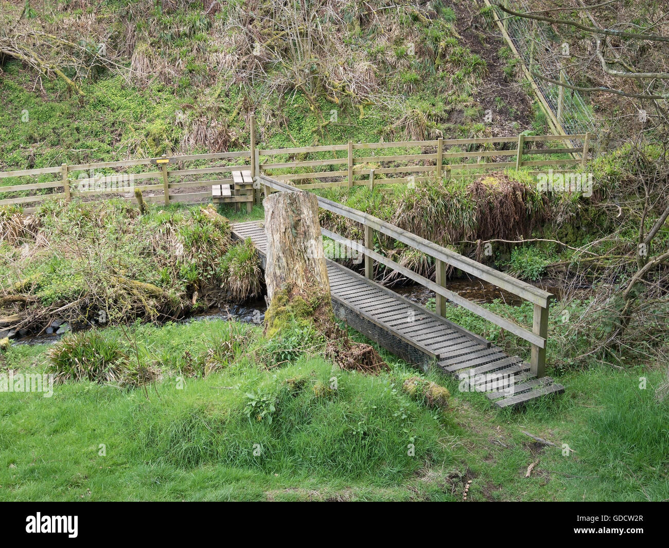 A wooden footbridge over a stream on a foot path in Scotland Stock ...