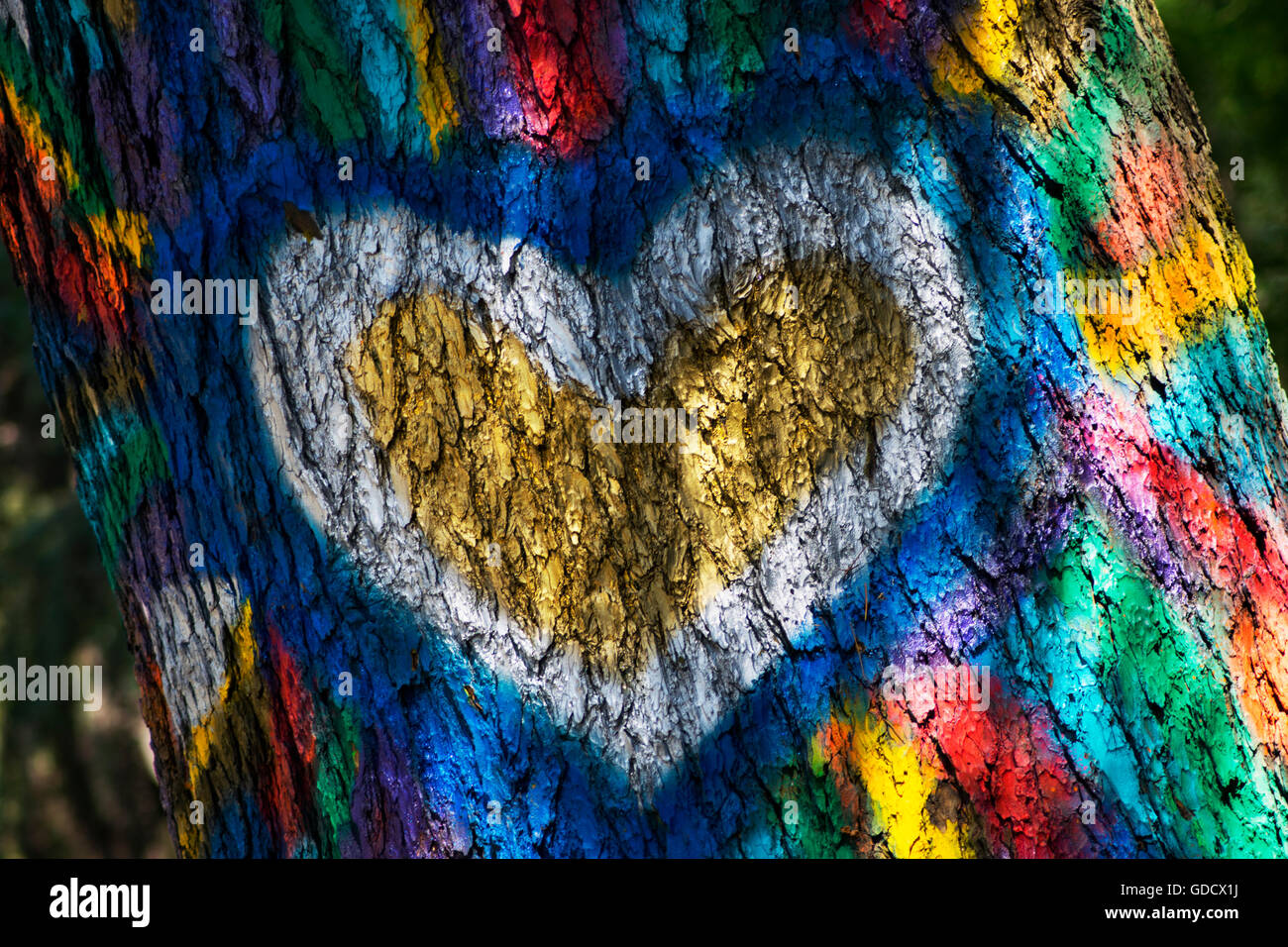 Heart drawn on tree Stock Photo - Alamy