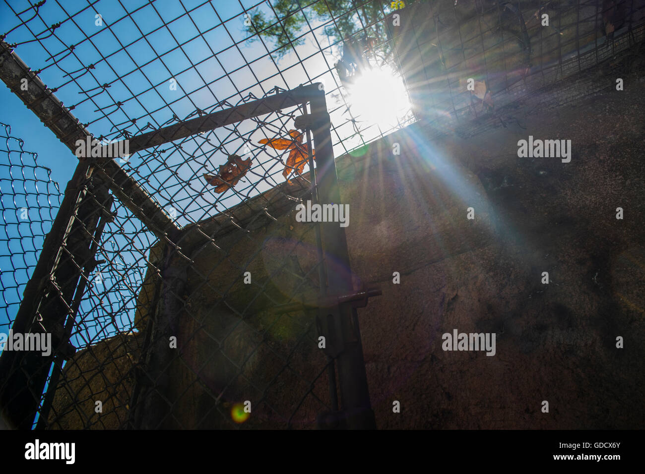 Sunlight through a cage Stock Photo - Alamy