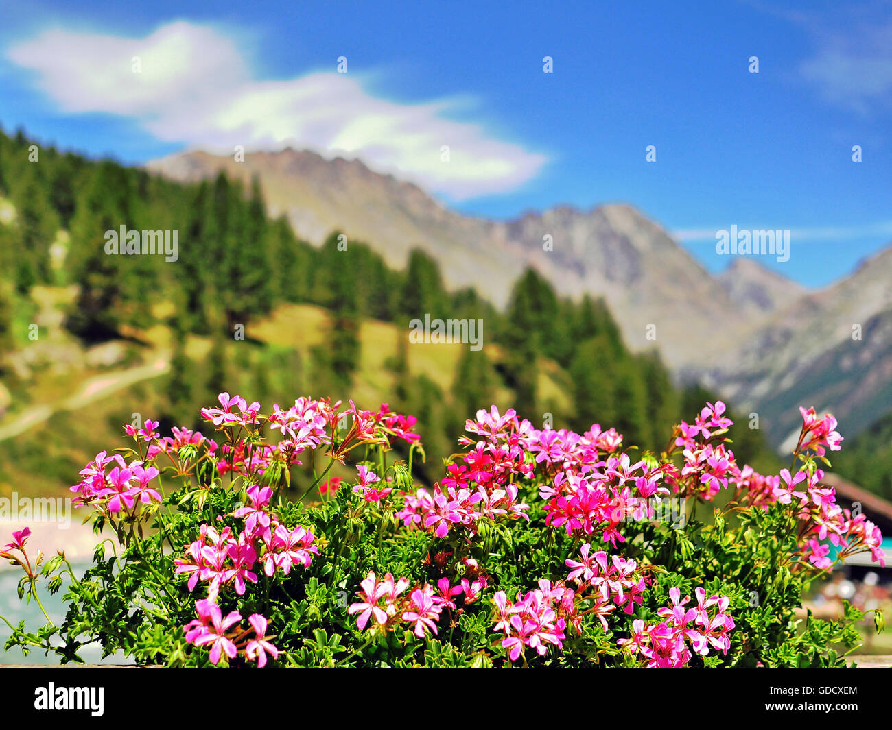 Flowers trees mountains hi-res stock photography and images - Alamy