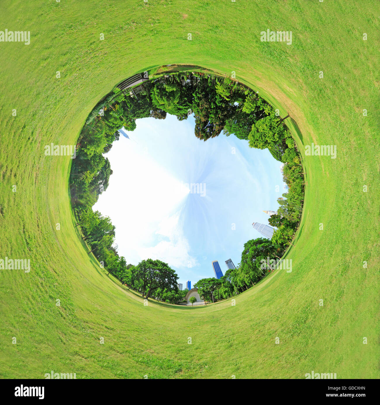 Circle panorama of forest Stock Photo - Alamy