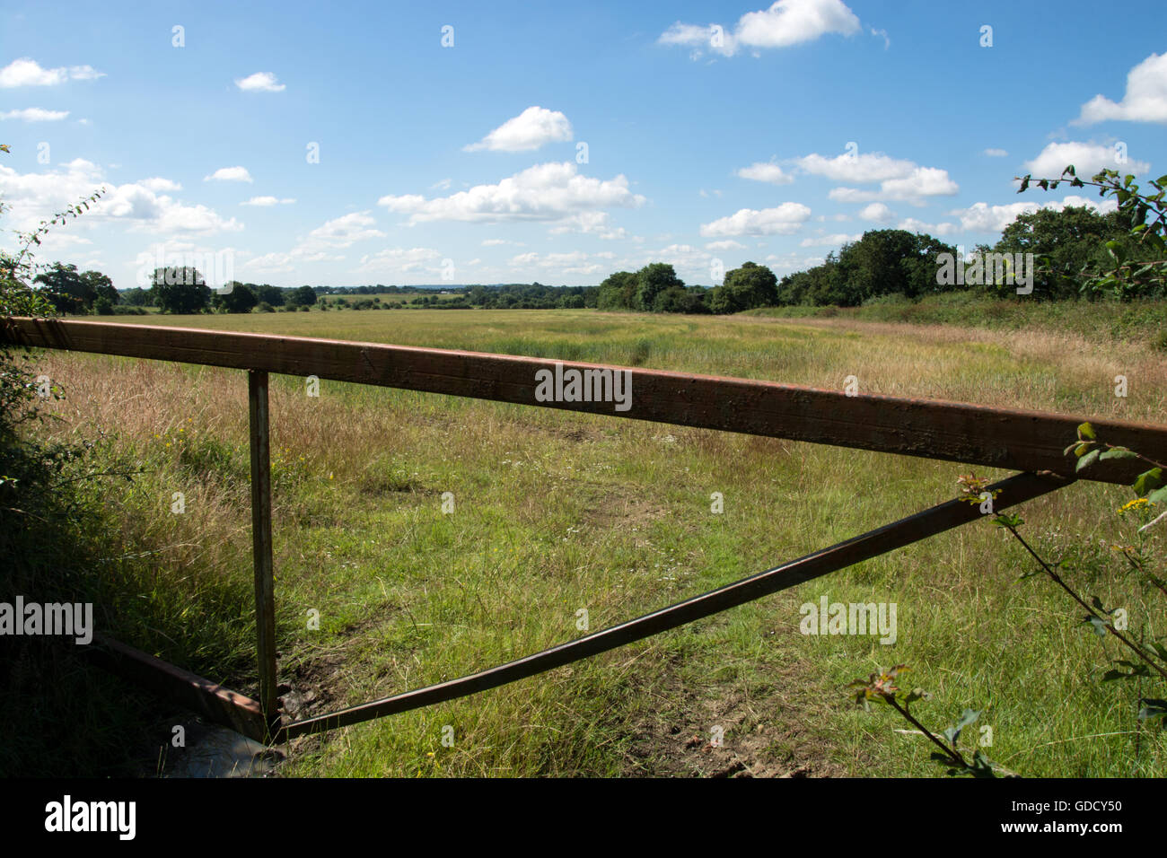 Rural scene in Kent,England,UK Stock Photo - Alamy