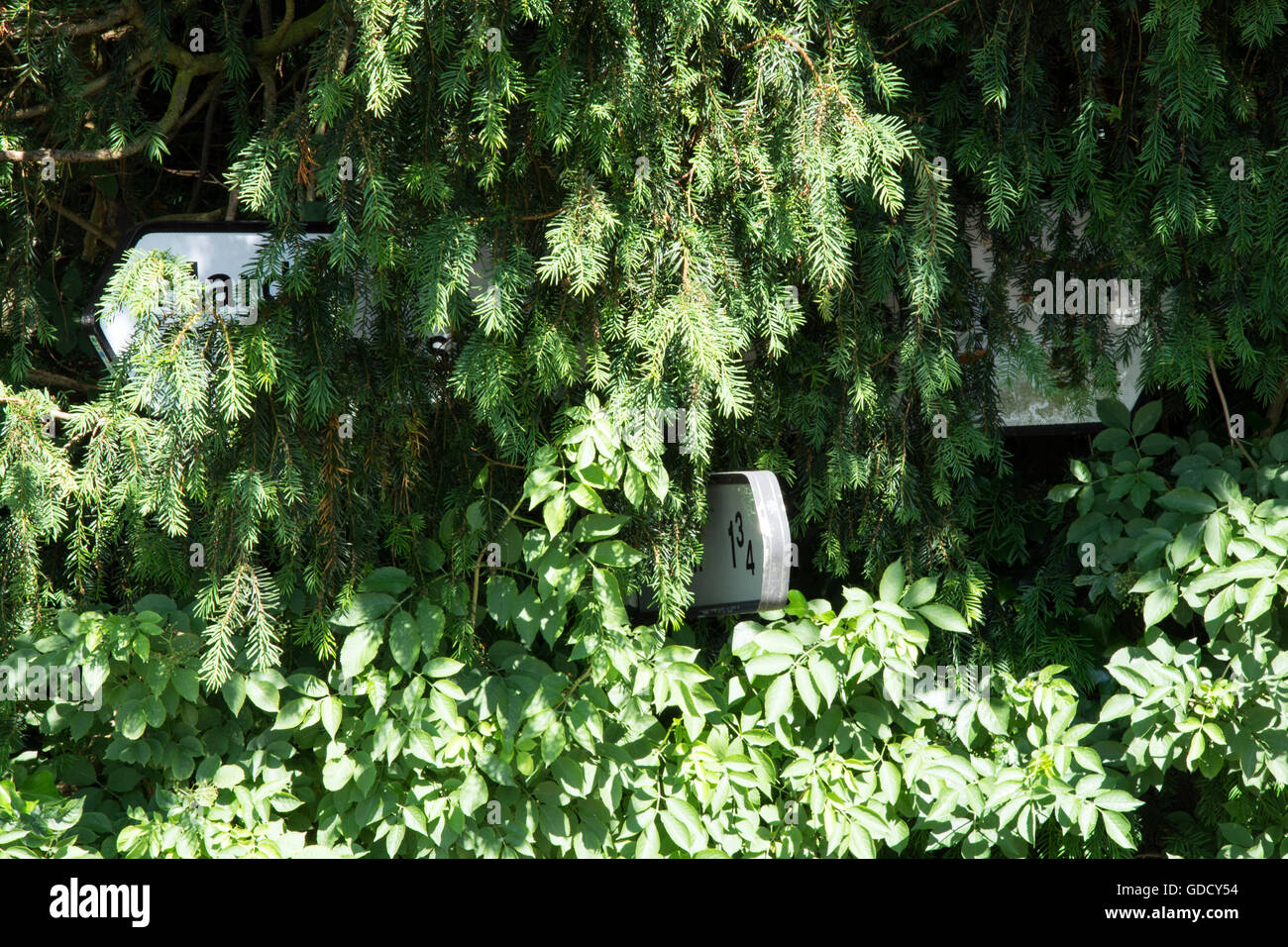 Hidden Junction Sign High Resolution Stock Photography and Images - Alamy