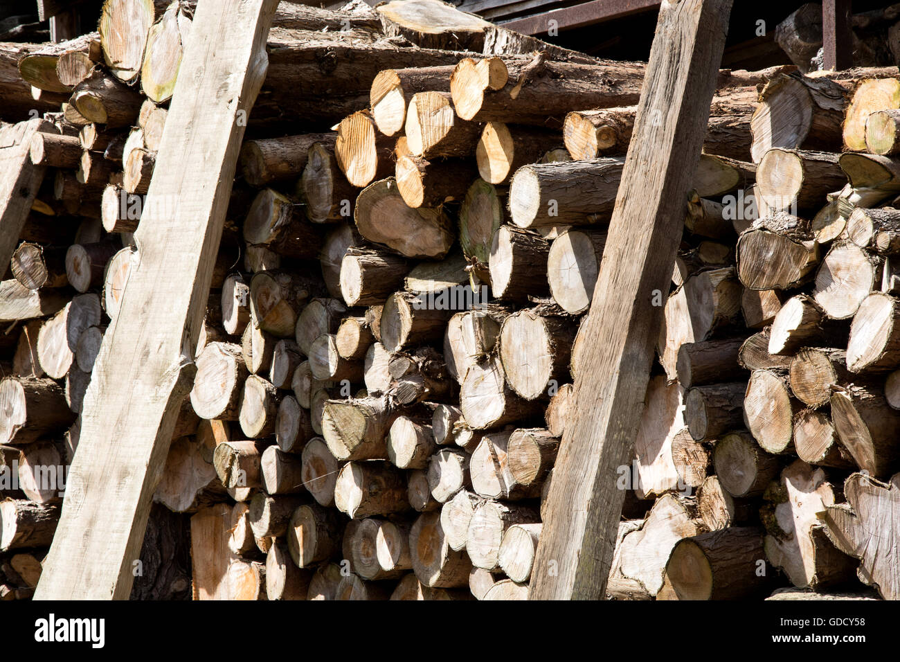 Stack of logs Stock Photo - Alamy